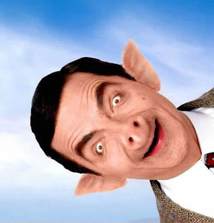 mini bean